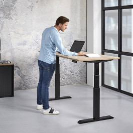 Zit Sta Bureau Basic Elektrisch | Verstelbaar | K4ALL